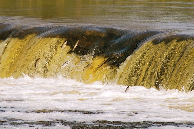 VENTA RAPID WATERFALL